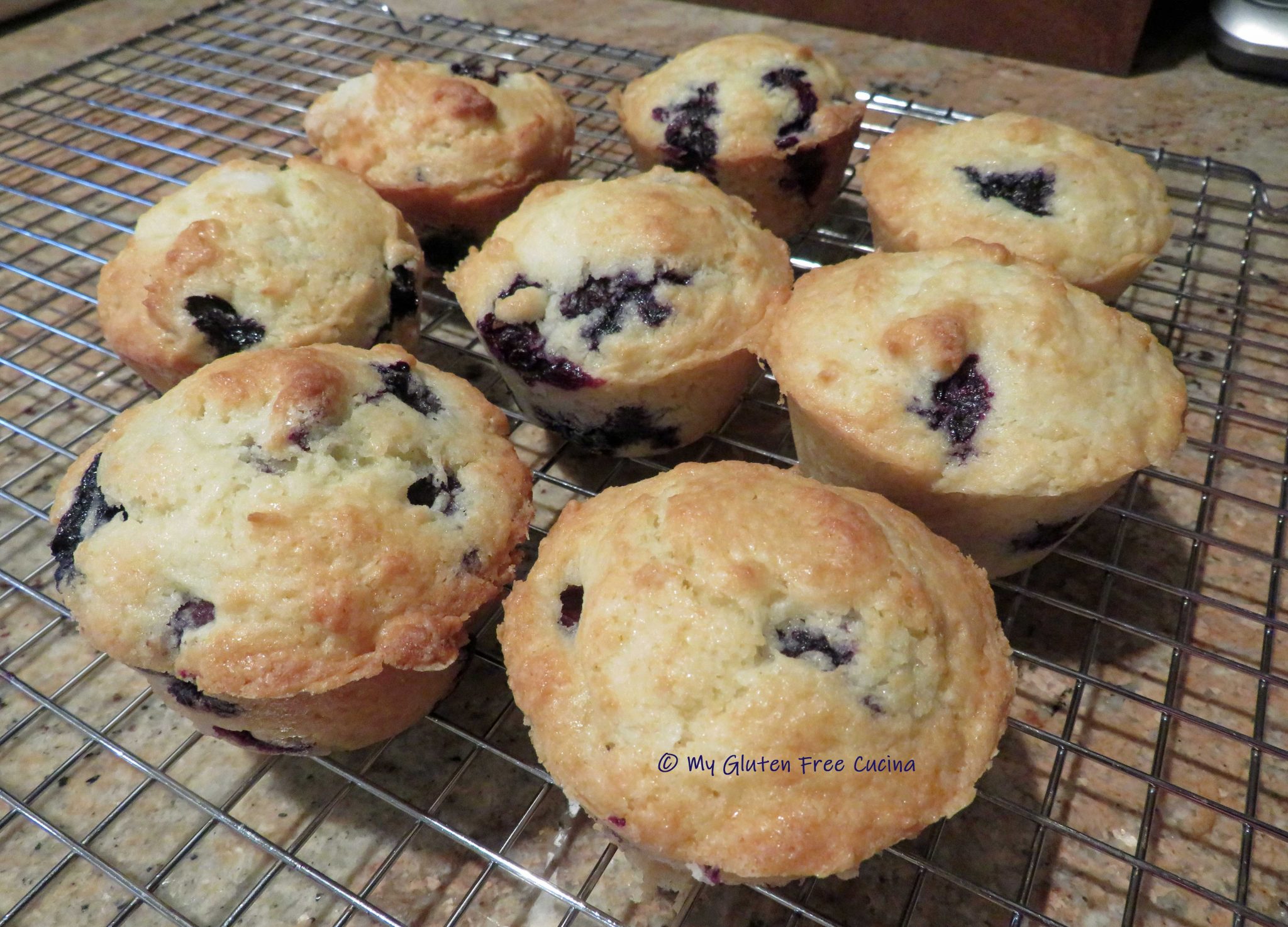 Gluten Free Jordan Marsh Blueberry Muffins – My Gluten Free Cucina