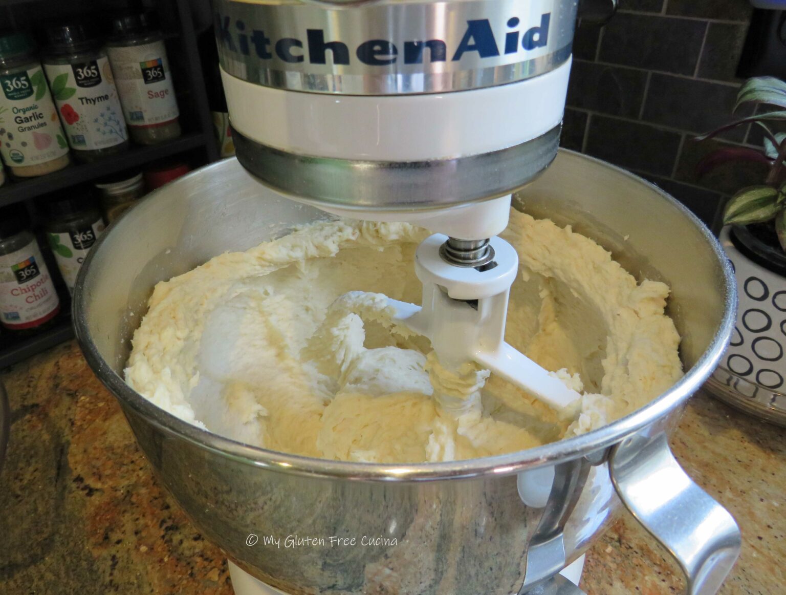 Gluten Free Sourdough Kaiser Rolls – My Gluten Free Cucina